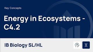 IB Biology HL - 2024 Exam Revision Videos | Revision Village