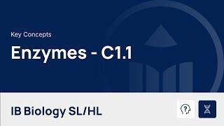 IB Biology HL Exam Revision Videos | Revision Village