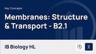 IB Biology HL Exam Revision Videos | Revision Village