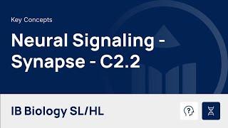 IB Biology SL Exam Revision Videos | Revision Village