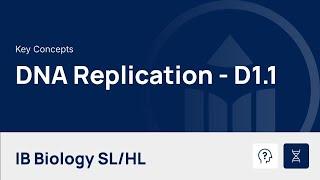 IB Biology SL Exam Revision Videos | Revision Village